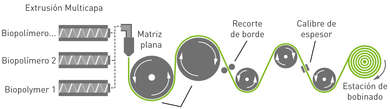 Cast and Thermoforming | NUREL Biopolymers - NUREL