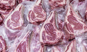 BOPA Film | NUREL Engineering Polymers - NUREL