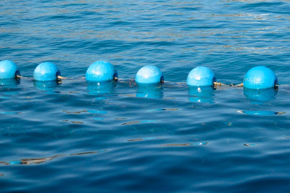 Redes y Aparejos de Pesca | NUREL Biopolymers - NUREL